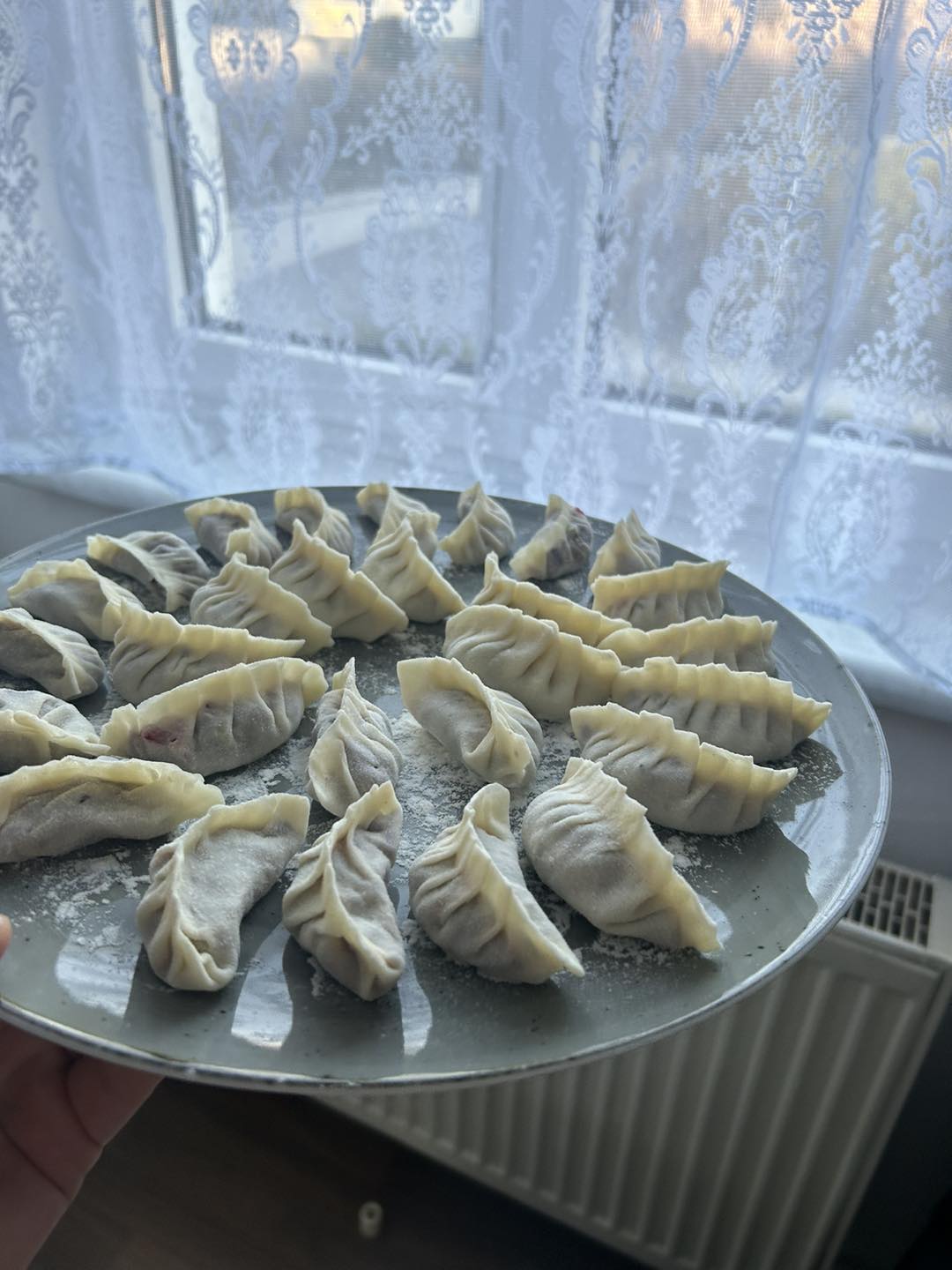 Galuste chinezesti Gyoza cu piept de pui si bonus 1 reteta de taietei ...